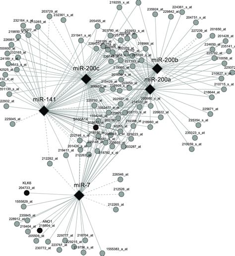 Correlation Network Of Gene Probes And Microrna The Correlation