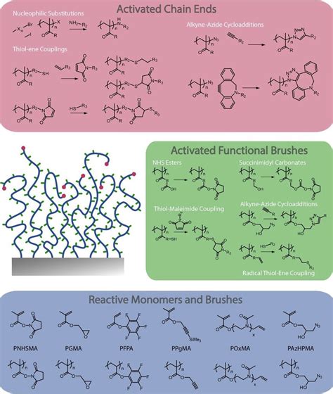Selected Examples Of Polymer Brush Functionalisation Strategies Side