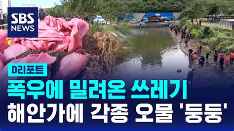 폭우에 밀려온 쓰레기해안가에 각종 오물 둥둥 Sbs D리포트 Youtube