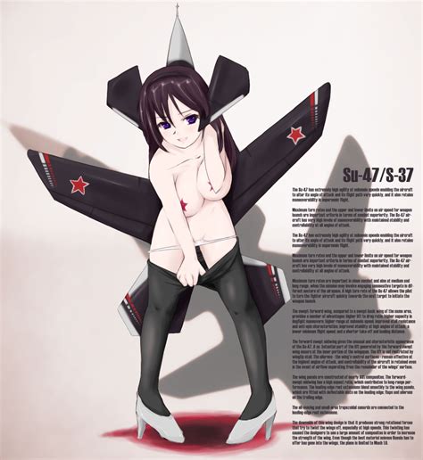 Rule 34 Ace Combat Su 47 Tagme 165674
