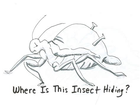 What Did I Do Last Summer Oh I Discovered How To Make Babies Without Sex And You NCPR News