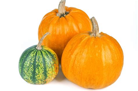 La Différence Entre Une Courge Une Citrouille Et Un Potiron Climatologie