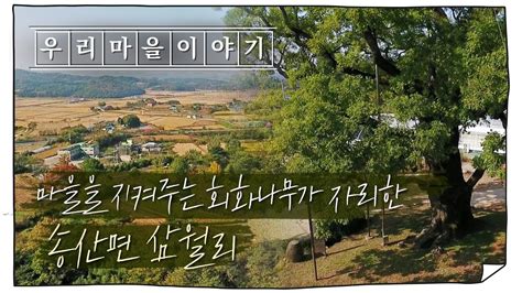 [ 우리마을이야기 마지막 화] 마을을 지켜주는 회화나무가 자리한 송산면 삼월리 Youtube