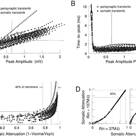 Severe Synapse To Soma Voltage Attenuation Perisynaptic And Somatic