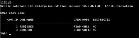 Oracle12c 连接可插拔数据库过程oracle插接式数据库青灯古酒ி的博客 Csdn博客
