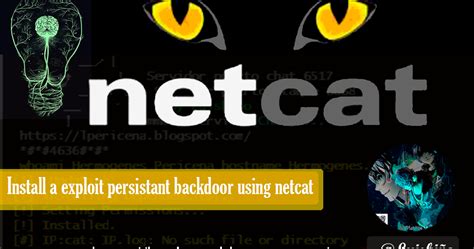 Netcat Hacking