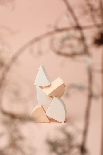 베이지 색 배경에 화장품 스폰지 현대 트렌디 한 정물 단색 흙 톤 중립 마른 허브 뷰티 산업 개념 메이크업 얼굴 관리 블로거