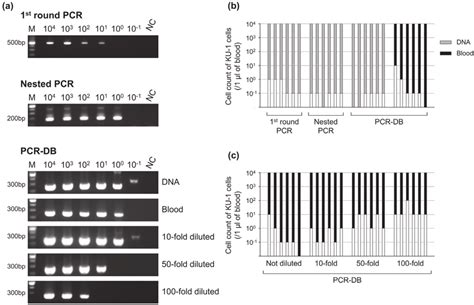 Comparison Of Nested Pcr And Pcr Db Sensitivity To Assess Pcr Method