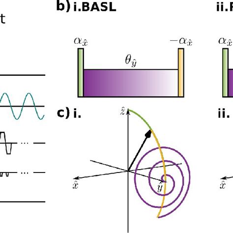 Pulse Sequence Sl Preparations And Magnetization Dynamics A Pulse
