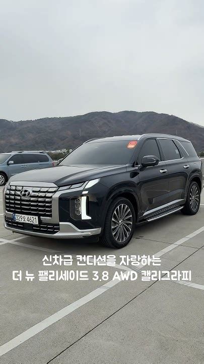 울산국민차매매단지 2023년 더 뉴 팰리세이드 38가솔린 4wd 캘리그래피 1인신조 풀옵션 차량 입고 소식‼️ 울산중고차 더뉴팰리세이드 팰리세이드풀옵션 Youtube