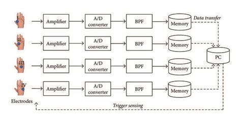 Processing Diagram Of Semg Signal Measurement Four Electrodes Are Used