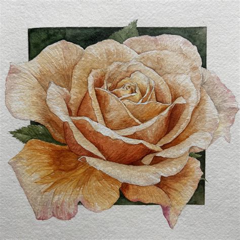 그리민 꽃그림 주황색 장미꽃 그리기