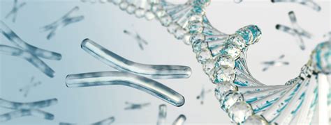 Fiv São Paulo Síndrome Do X Frágil