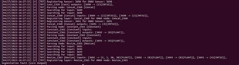 Segmentation Fault When Using “resize“ Tensorrt Nvidia Developer Forums