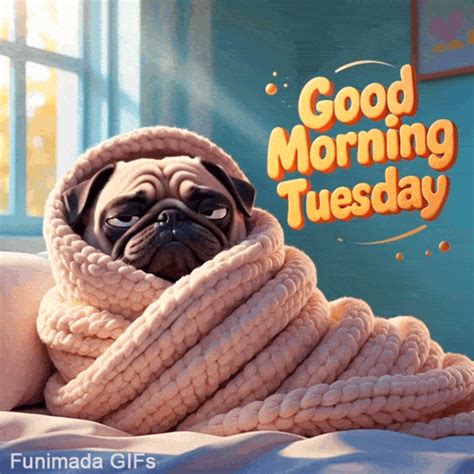 Good Tuesday Morning  Funny