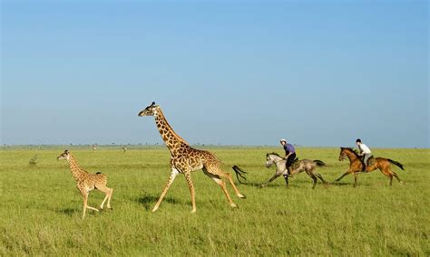 ol donyo lodge alojamiento exclusivo y lujoso de kenia y África