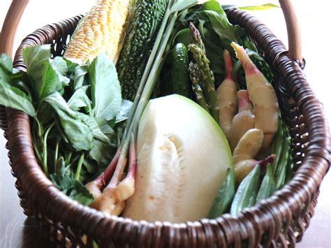 7月が旬の野菜は？ 「走り」「盛り」「名残」の夏野菜で暑さに負けない元気な食卓｜マイナビ農業
