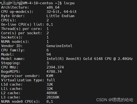 Linux查看大小端命令 Csdn博客
