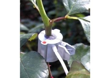 Small Stem Sap Flow Sensor Implexx