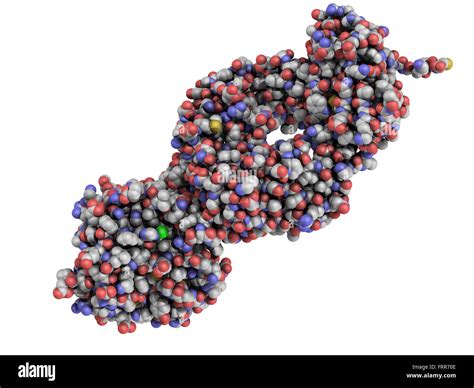 Chemical Structure Of Prostate Specific Antigen Psa Gamma