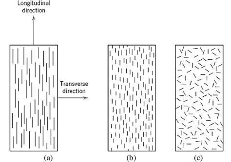 Schematic Representation Of The Orientation Of Fiber Reinforced Download Scientific Diagram