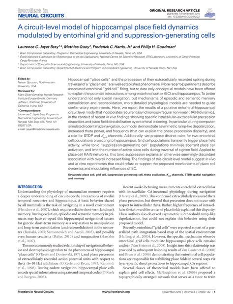 Pdf A Circuit Level Model Of Hippocampal Place Field Dynamics Modulated By Entorhinal Grid And