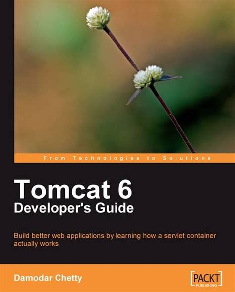 Tomcat 6 Developers Guide Understanding How A Servlet Container Actually Works Will Add