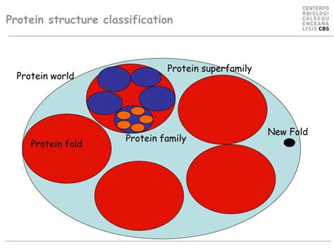 Ppt Protein Structure And Homology Modeling Powerpoint Presentation
