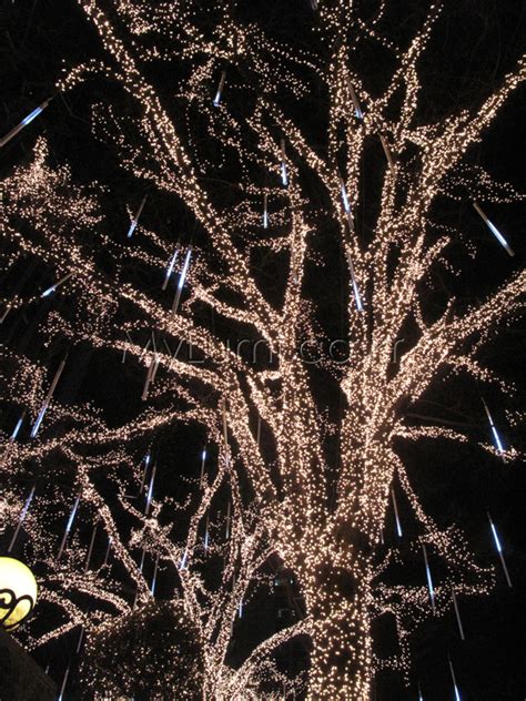 루미스페이스 Lumispace