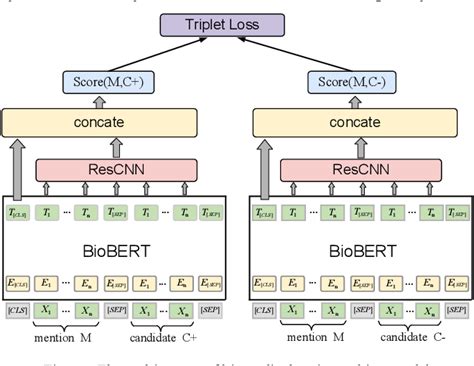 Figure 1 From Biomedical Entity Linking Based On Global And Local Feature Fusion Semantic Scholar