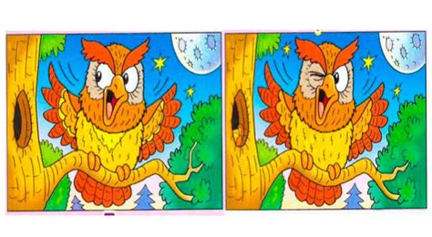 Can You Find The 7 Differences Only A Genius Can Overcome This Challenge In 17 Seconds