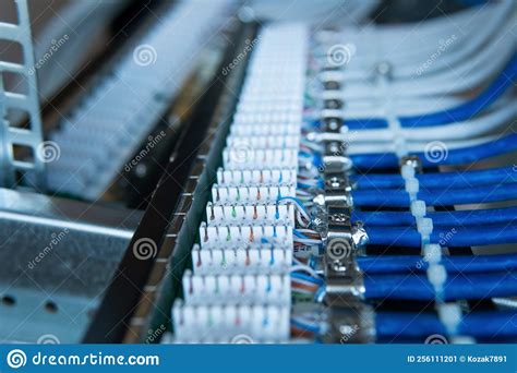 Network Installation Network Cable On A Network Hub Lan Cable Management Stock Image