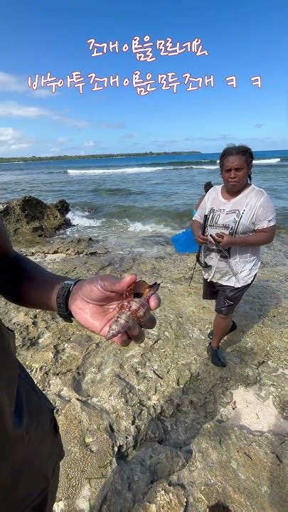 두어시간 바다속에 들어가서 조개를 잔뜩 따온 이웃 Youtube