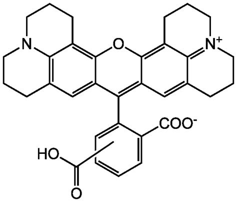 5 6 ROX CAS 198978 94 8 Chemodex Biomol
