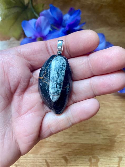 Orthocerus Fossil Pendant Fossil Cabochon Pendant Black Fossil Pendant Fossil Jewelry Etsy