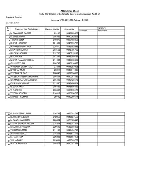 Concurrent Audit Format Pdf Financial Services