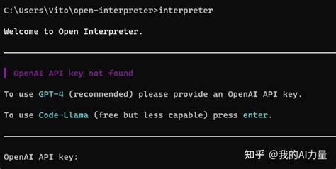 开源免费：可以联网的 Chatgpt 代码解释器 Open Interpreter 本机安装教程 知乎