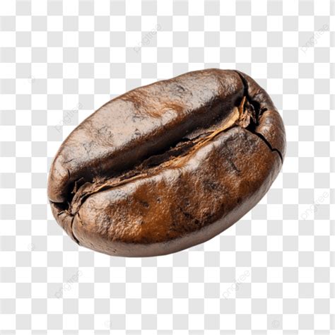 커피 원두의 품질이 아침 커피에 미치는 영향 커피콩 로스팅 프로필 커피 원두 품질 평가 커피콩 소비자 트렌드 Png 일러스트 및 이미지 에 대한 무료 다운로드