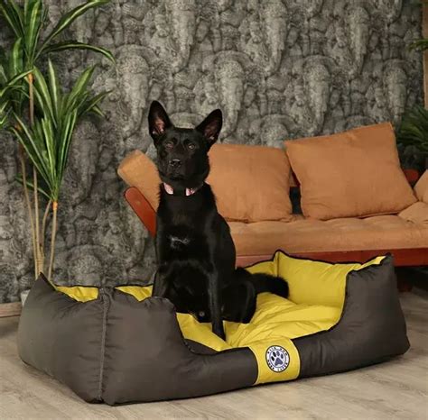 Лежанка для крупной собаки разборная Горчичного цвета