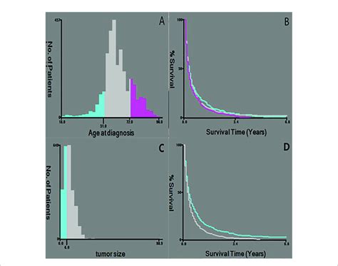 Selection Of The Best Cut Off Point For Age And Tumor Size A C