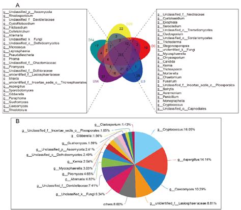 Fungal Composition Similarity And Overlap In Genera Level Between Eight