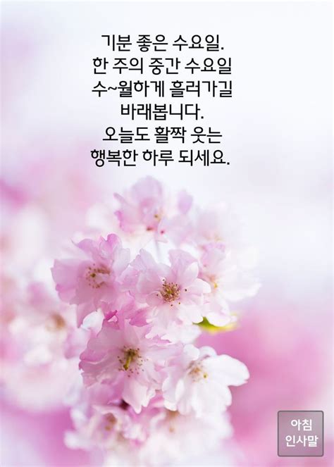 한 주의 중간 수요일 2024 좋은 아침 이미지 좋은 아침 인사 아침 인사