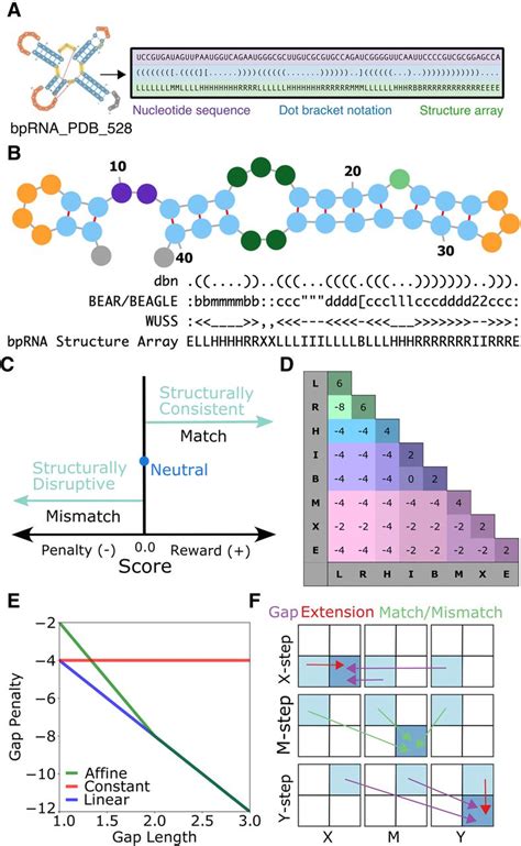 Bprna Align Improved Rna Secondary Structure Global Alignment For Comparing And Clustering Rna