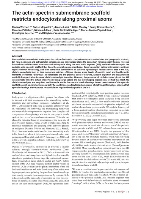 Pdf The Actin Spectrin Submembrane Scaffold Restricts Endocytosis