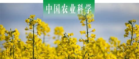 中国农业科学 中国农科院油料所马霓课题组探析不同生态区冬油菜根系生长及碳氮积累分配特征 Book学术