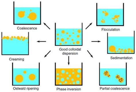 Foodanalysis Analyticaltechniques Applied Sciences Mdpi