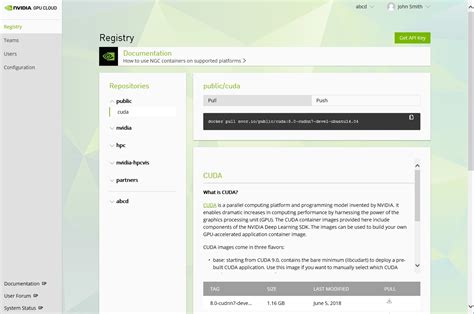 Ngc Container Registry For Dgx User Guide Dgx Systems Documentation