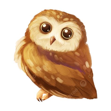 손 일러스트 으로 그린 갈색 시 뮬 레이 션 부엉이 올빼미 손으로 그린 갈색 Png 일러스트 및 Psd 이미지 무료 다운로드 Pngtree