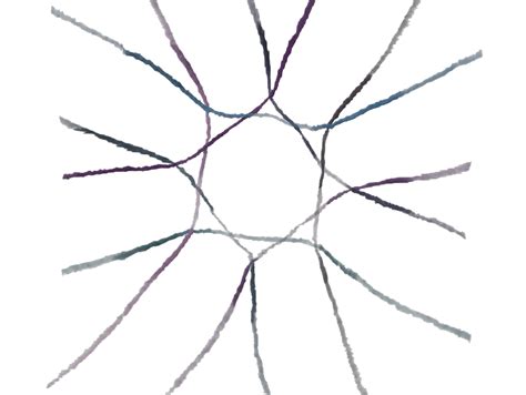 Whole Organism Characterization Of Octopus Neural Connections Using Centimeter Field Isotropic