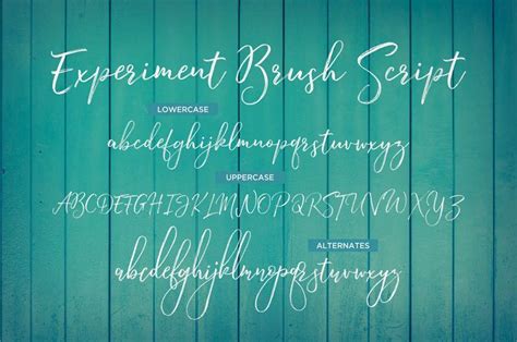 Experiment Brush Script Experiment Script Brush Affiliate Brush Script Brush Script Fonts
